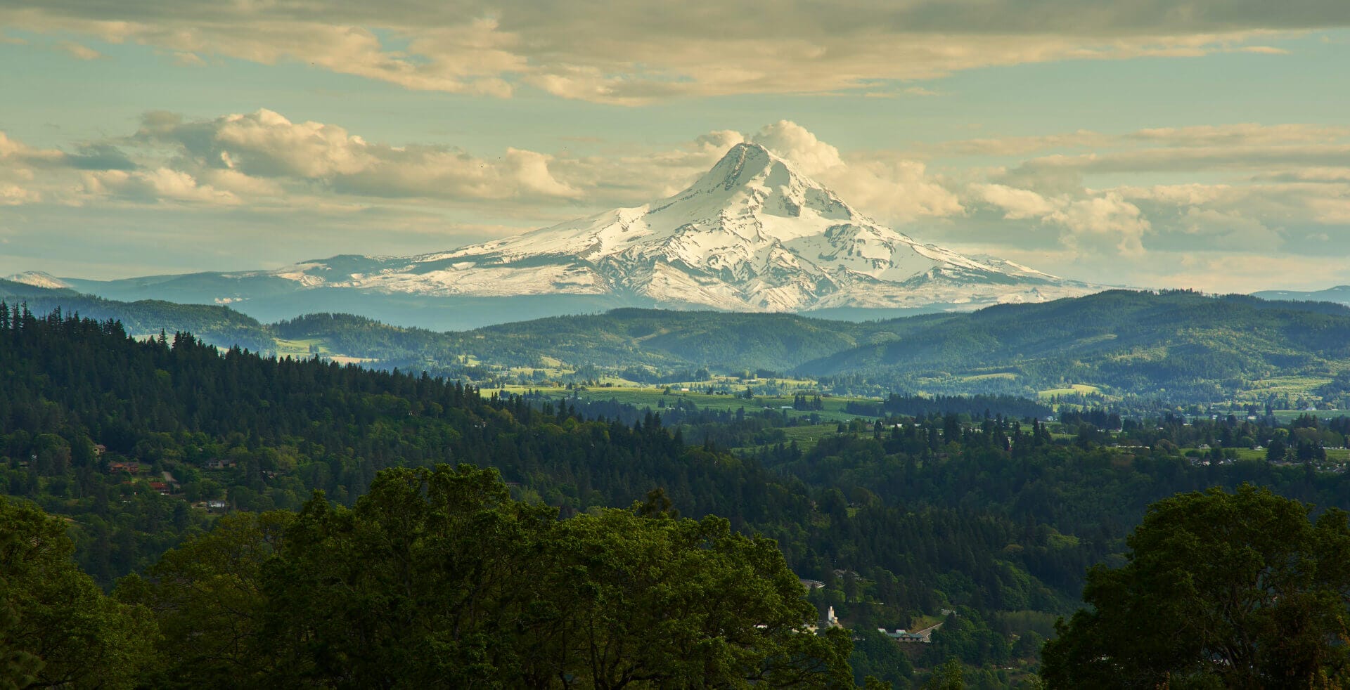 Hotel Iconica | About - Tao Berman and Hotel Iconica